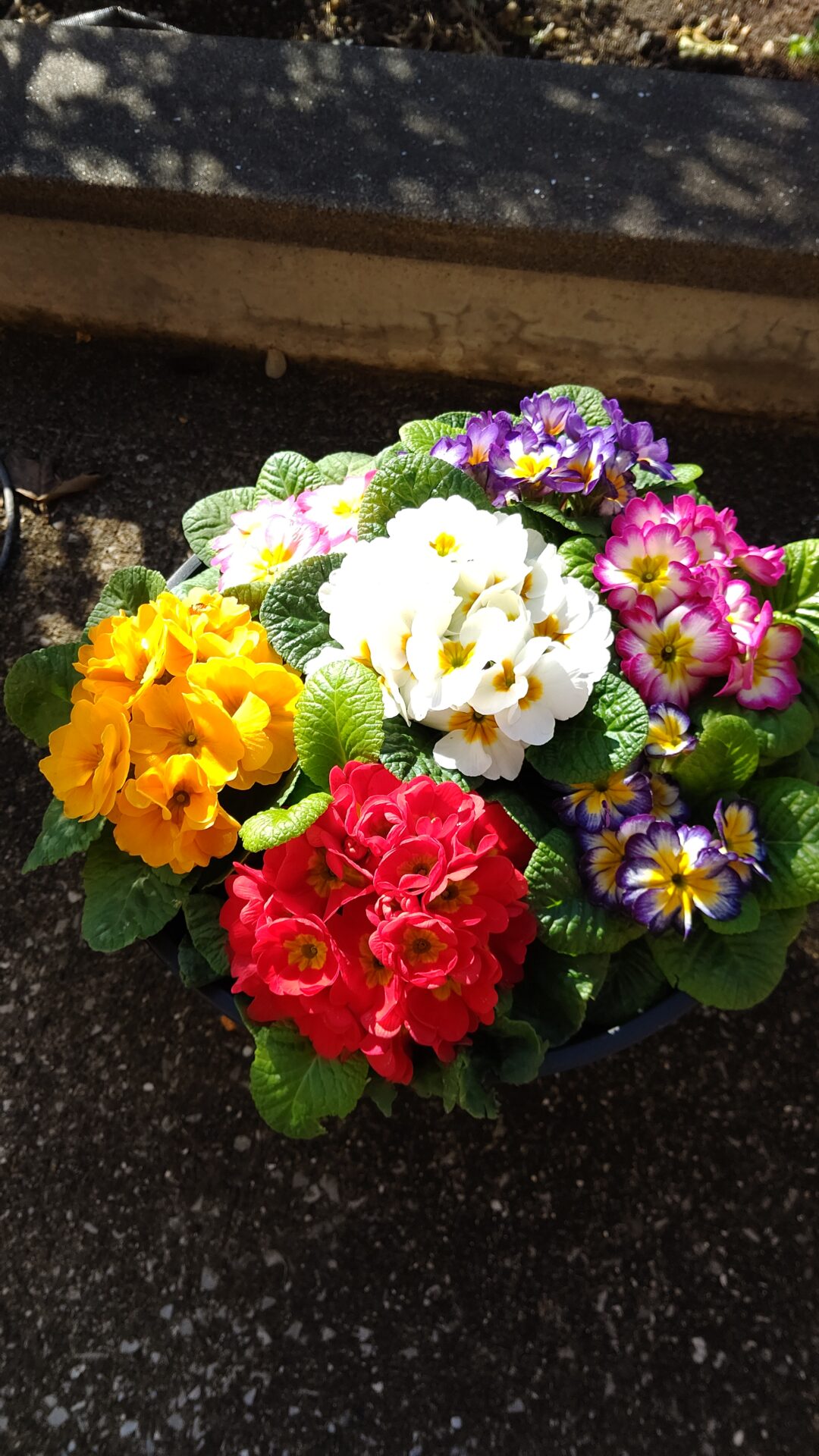 DSC_0168 ｜ 特別養護老人ホーム あいおいの郷 -社会福祉法人ほほえみ会-